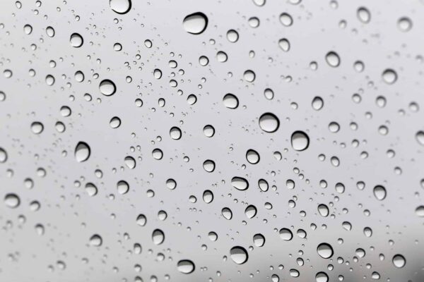 Why Choose LEGEND® Paint Protection Film?