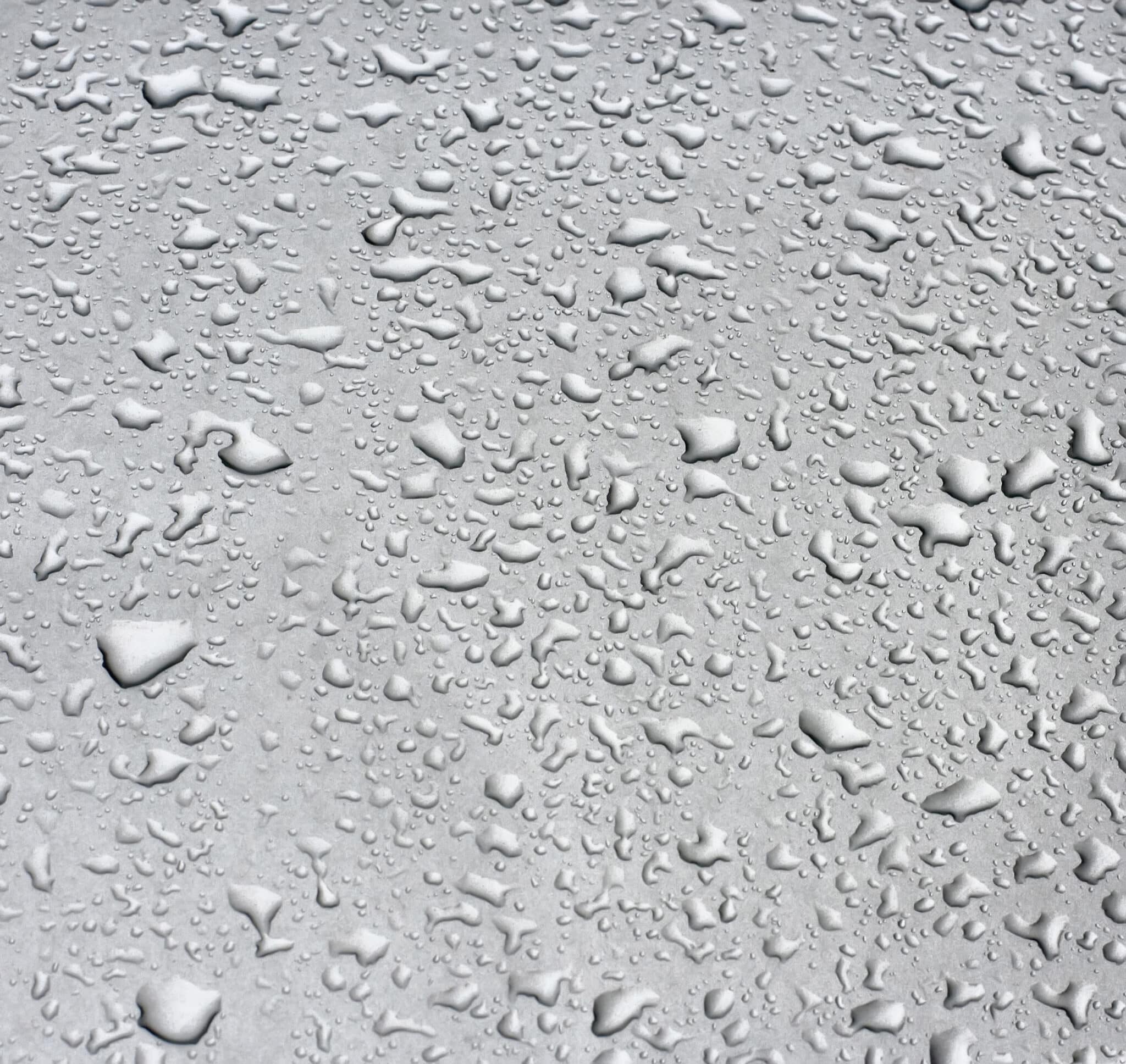 The LEGEND® Paint Protection Film Difference